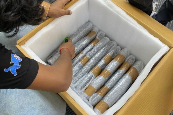 Panya Global | International Packers and Movers & Relocation Services